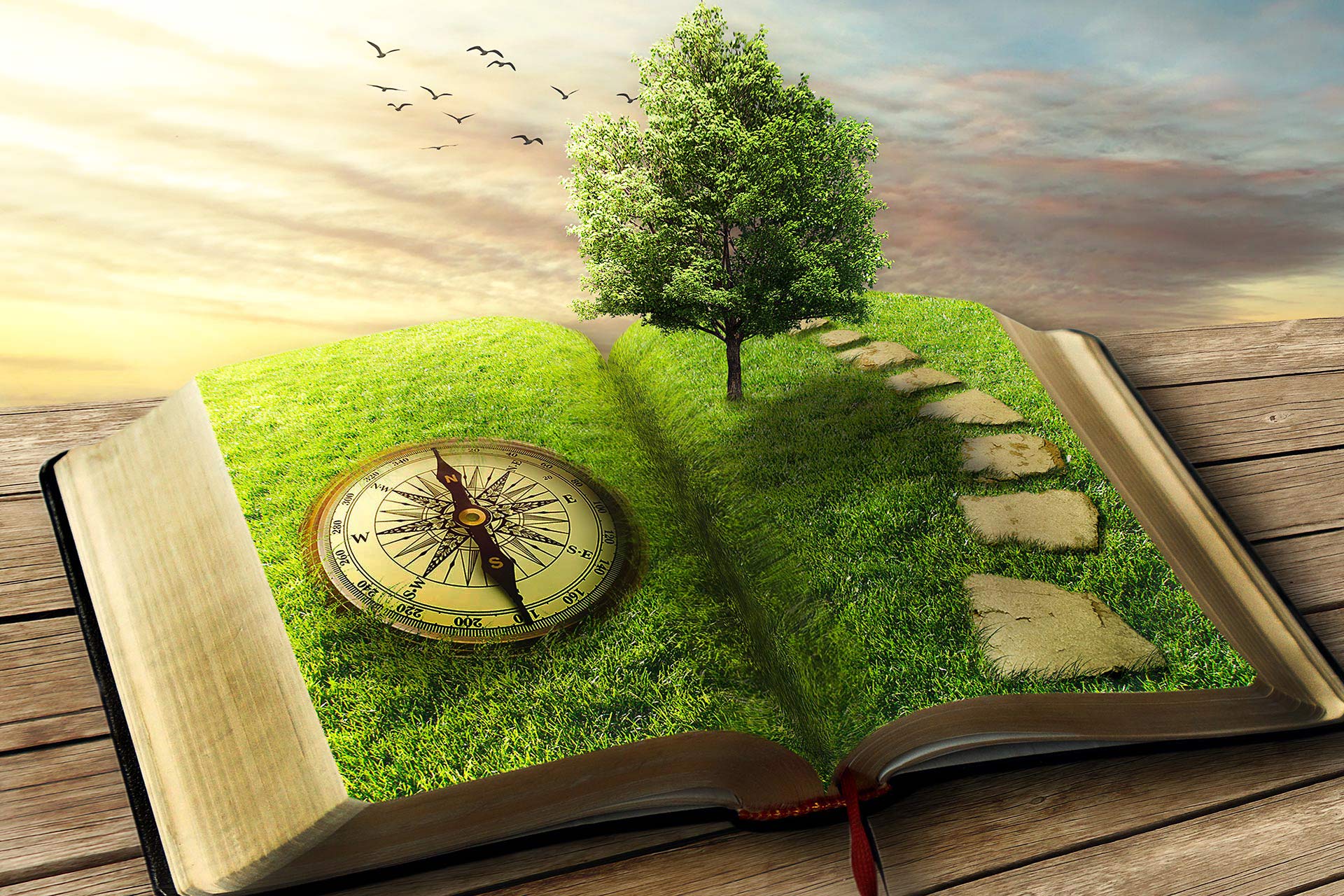 Welcome - The Way to Eden